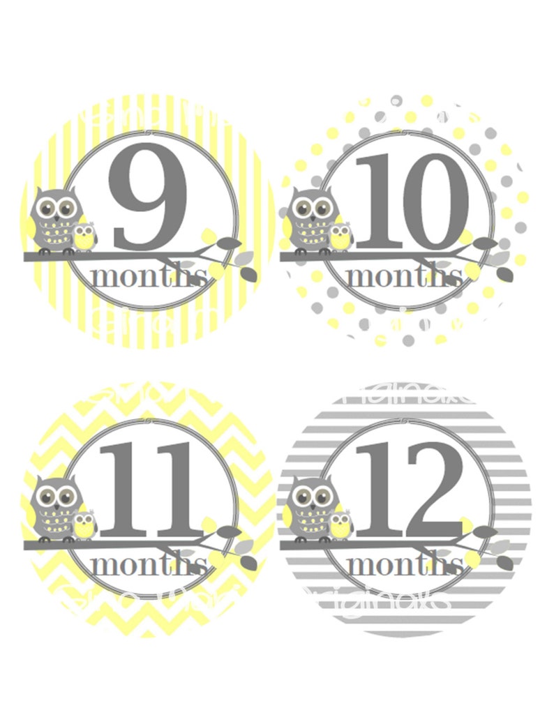 Baby Monthly Milestone Growth Stickers in Yellow Grey Owls - Etsy