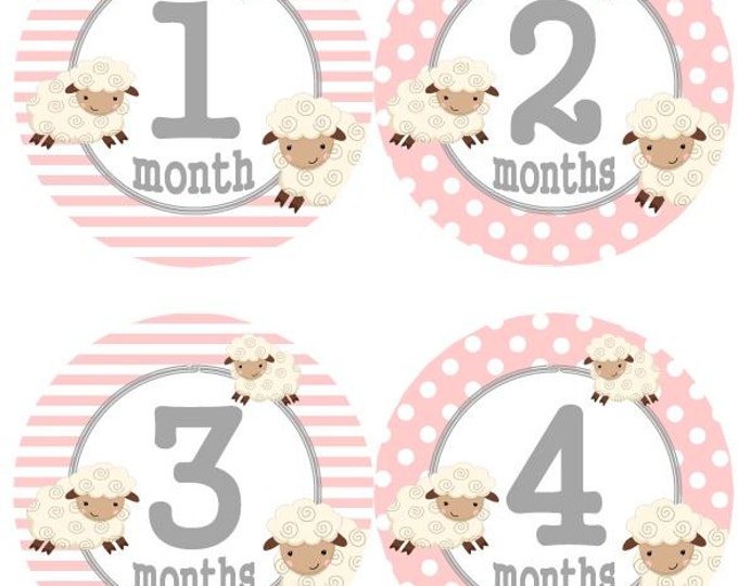 Baby First 1st MILESTONES Stickers Vintage World Maps Travel - Etsy