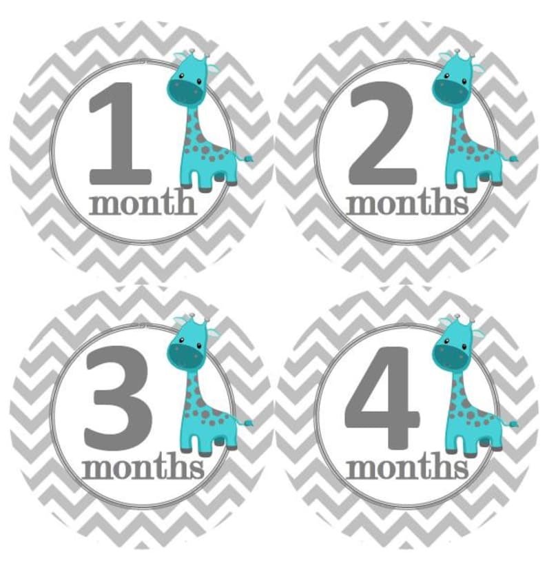 Baby Monthly Milestone Growth Stickers Turquoise With Grey - Etsy
