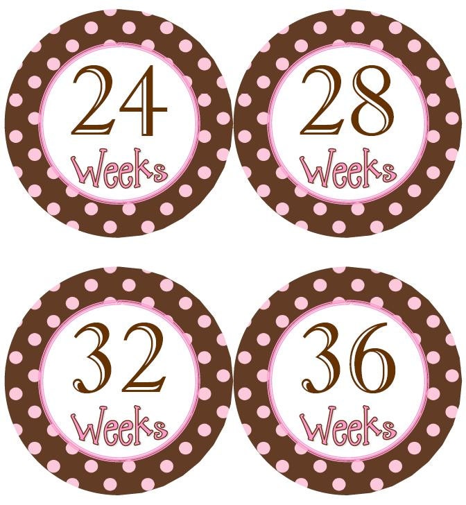 12 Weekly Pregnancy Belly Bump Stickers Pink with Brown Polka | Etsy