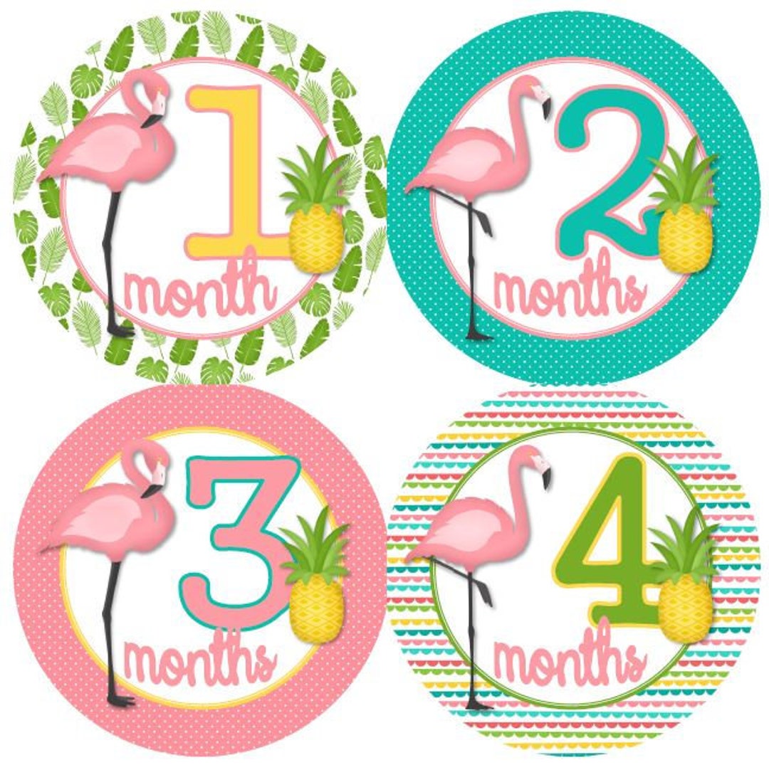 Baby Monthly Milestone Growth Stickers Pink Flamingos Pineapple Palm ...
