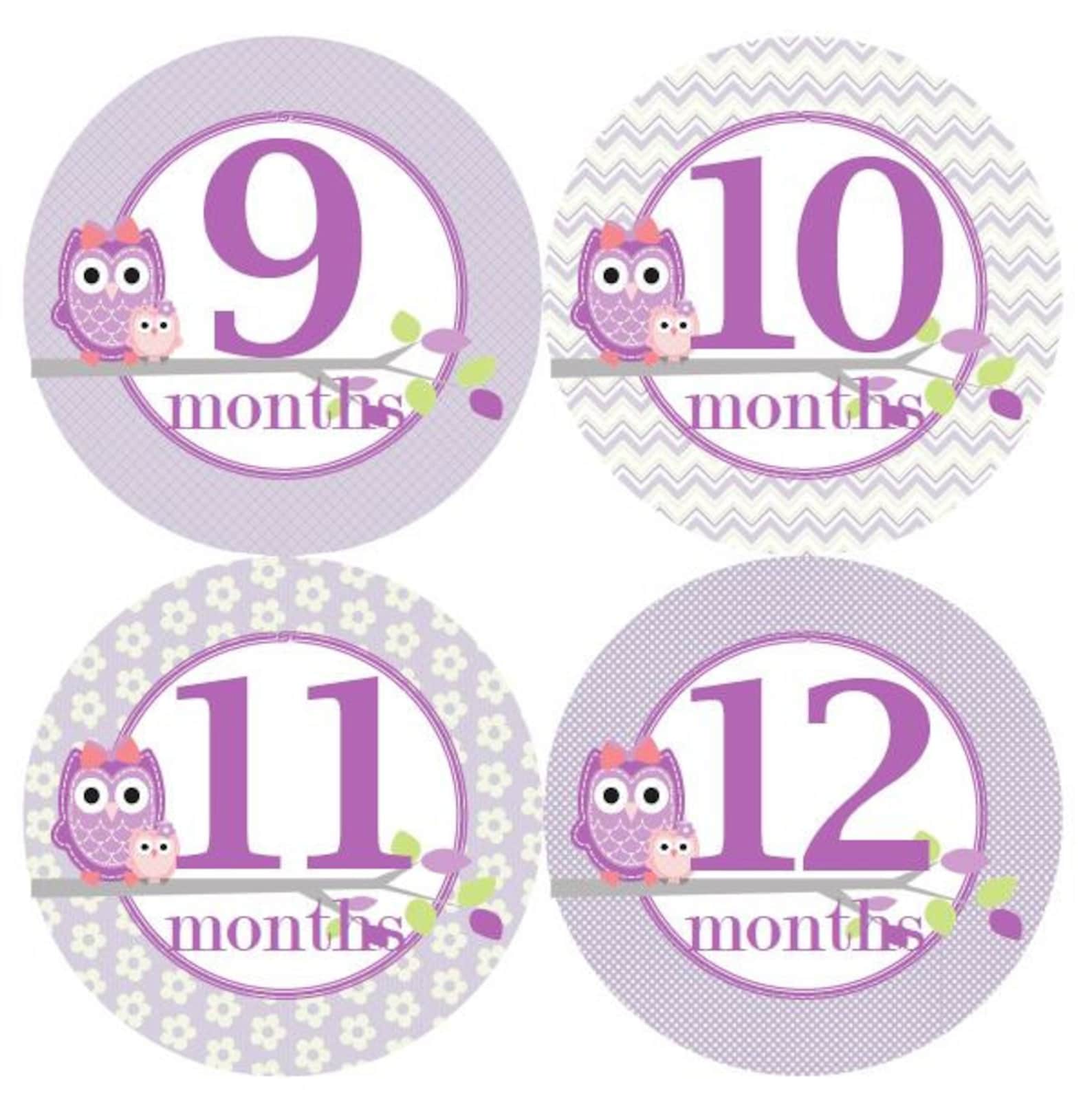 Baby Monthly Milestone Growth Stickers in Lavender Green Grey | Etsy