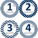 Baby Monthly Milestone Growth Stickers Grey Blue White Dots Stripes ...
