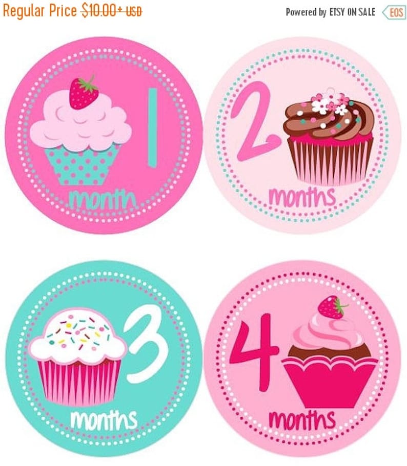 Baby Monthly Milestone Growth Stickers Girly Pink Aqua | Etsy