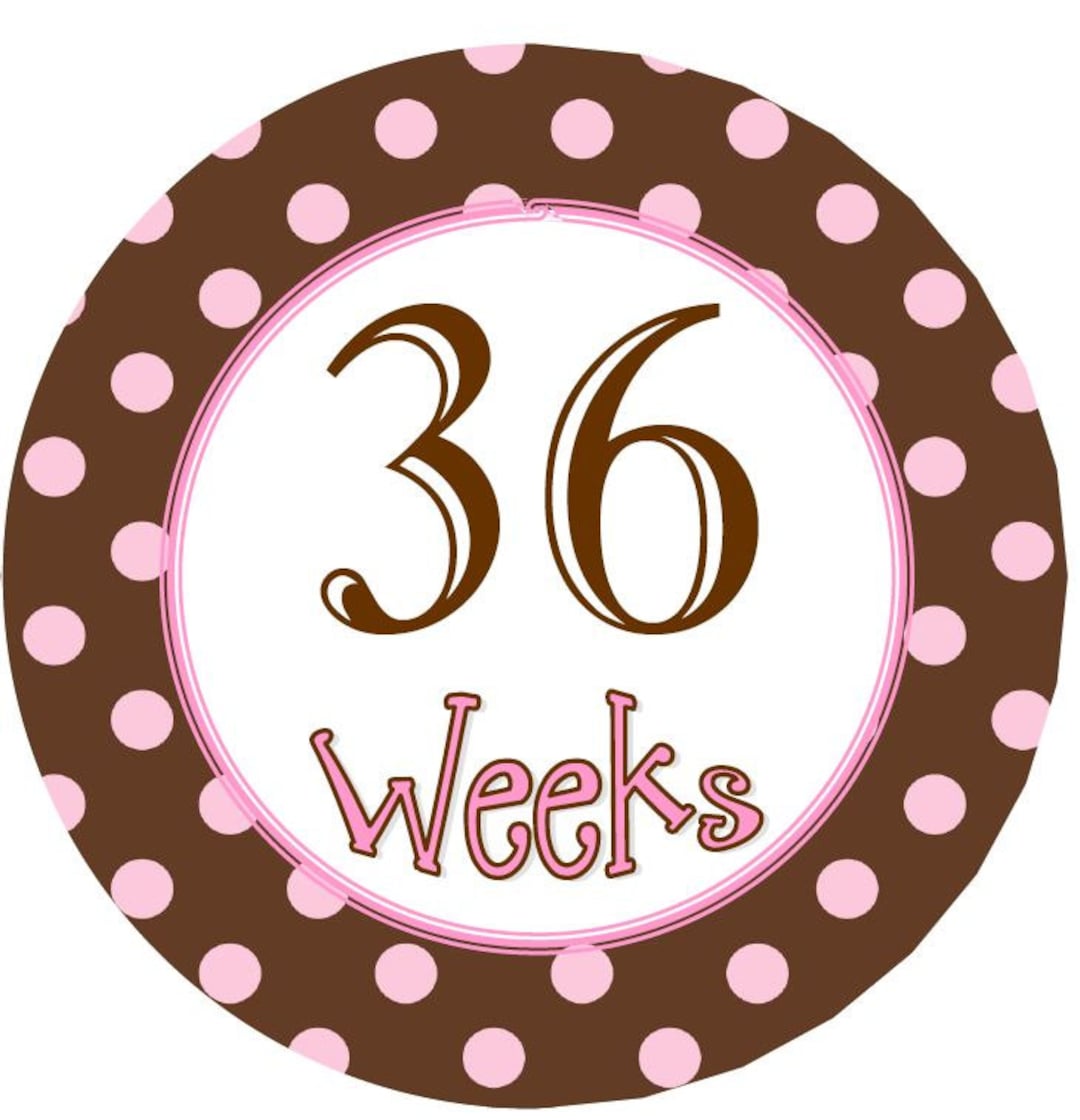 12 Weekly Pregnancy Belly Bump Stickers Pink With Brown Polka Dots ...