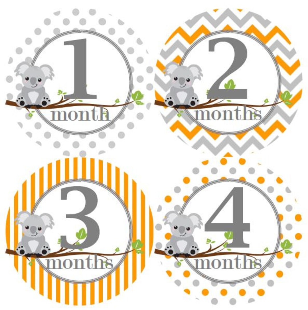 Baby Monthly Milestone Growth Stickers Orange With Grey Koalas Baby ...