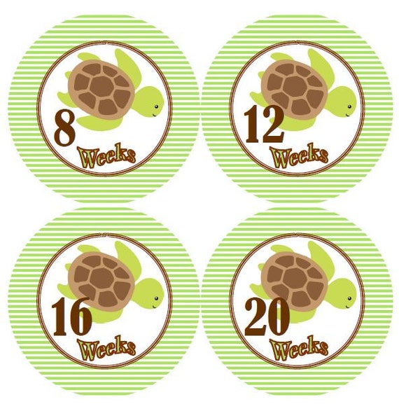 Pregnancy Weeks Baby Monthly Milestone Growth Stickers in | Etsy