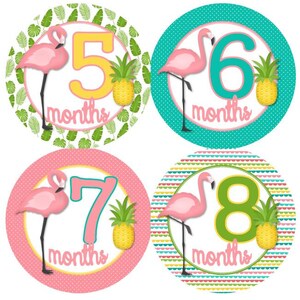 Baby Monthly Milestone Growth Stickers Pink Flamingos Pineapple Palm ...