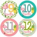 Baby Monthly Milestone Growth Stickers Pink Flamingos Pineapple Palm ...