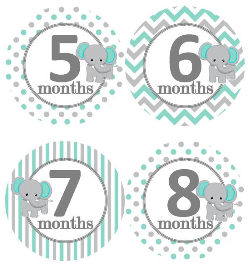 Baby Monthly Milestone Growth Stickers Grey Aqua White Elephant Nursery ...
