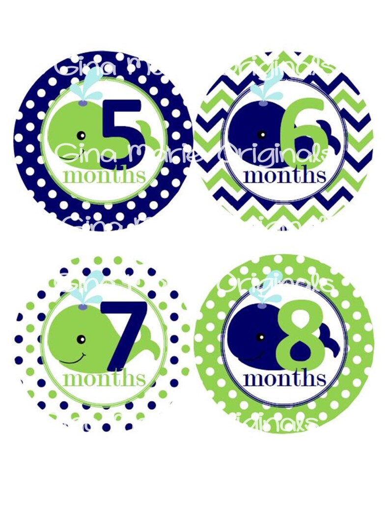 Baby Monthly Milestone Growth Stickers Navy Green Whale - Etsy