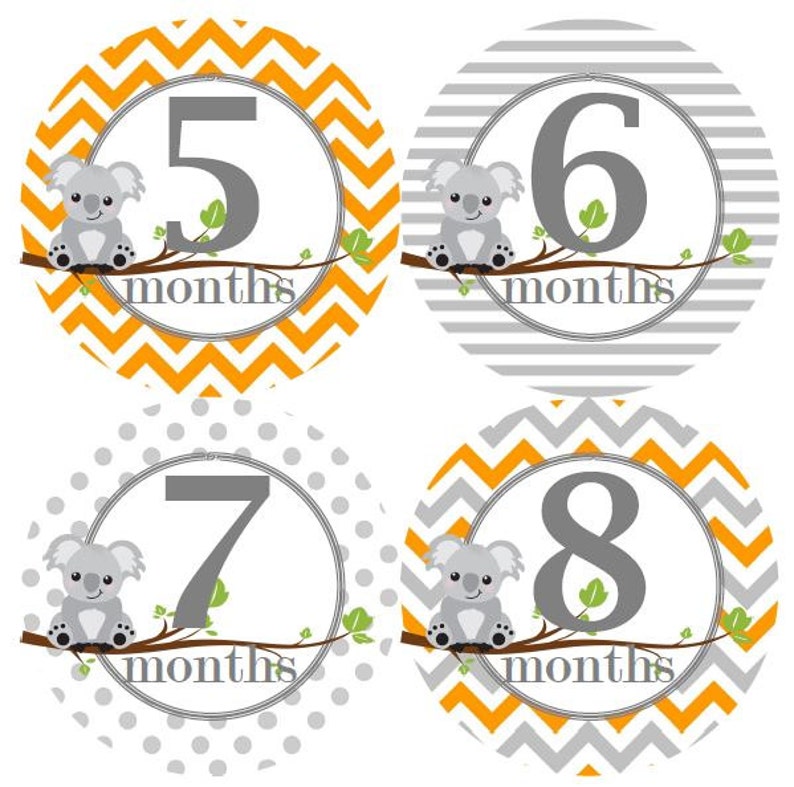 Baby Monthly Milestone Growth Stickers Orange With Grey Koalas Baby ...