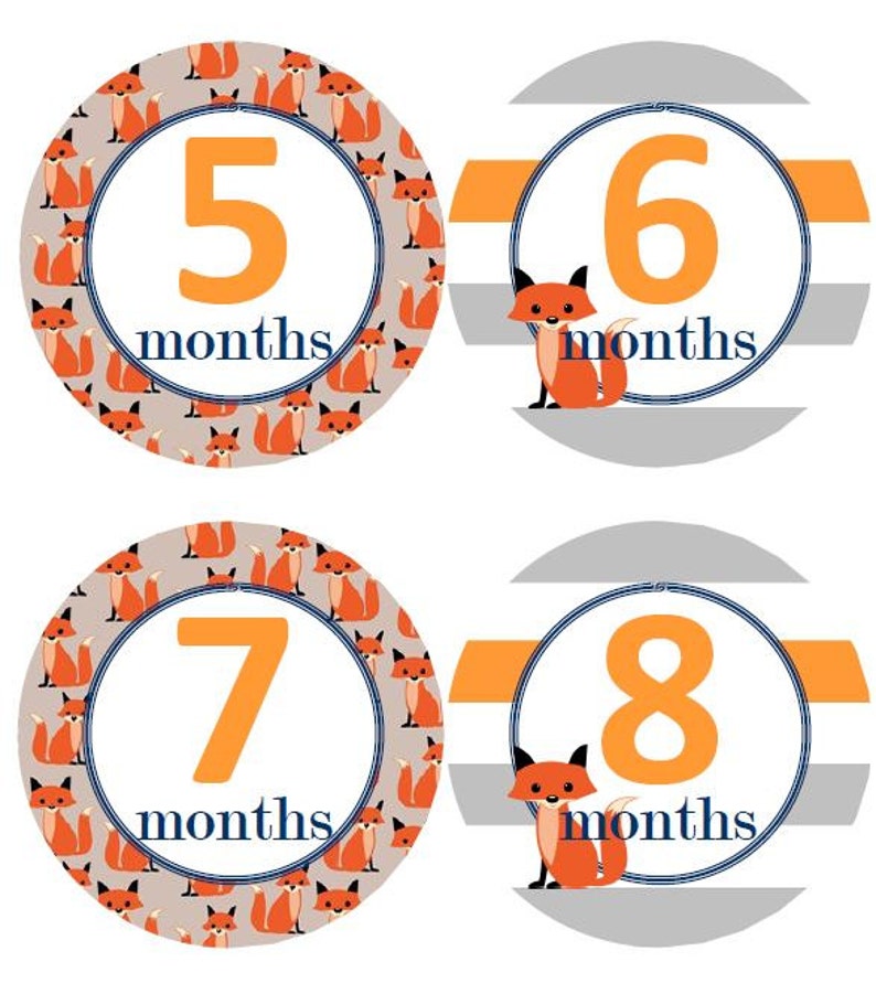 Baby Monthly Milestone Growth Stickers Fox Orange Grey Stripes Navy ...