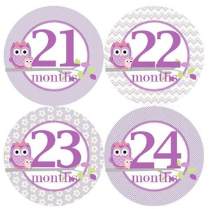 Baby Monthly Milestone Growth Stickers 2nd Year 13-24 Months Lavender ...