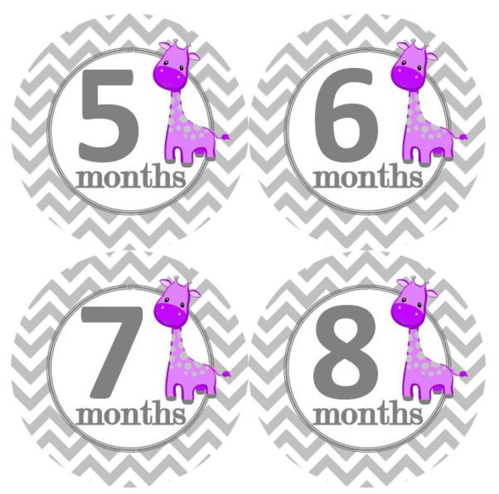 Baby Monthly Milestone Growth Stickers Purple With Grey Chevrons ...