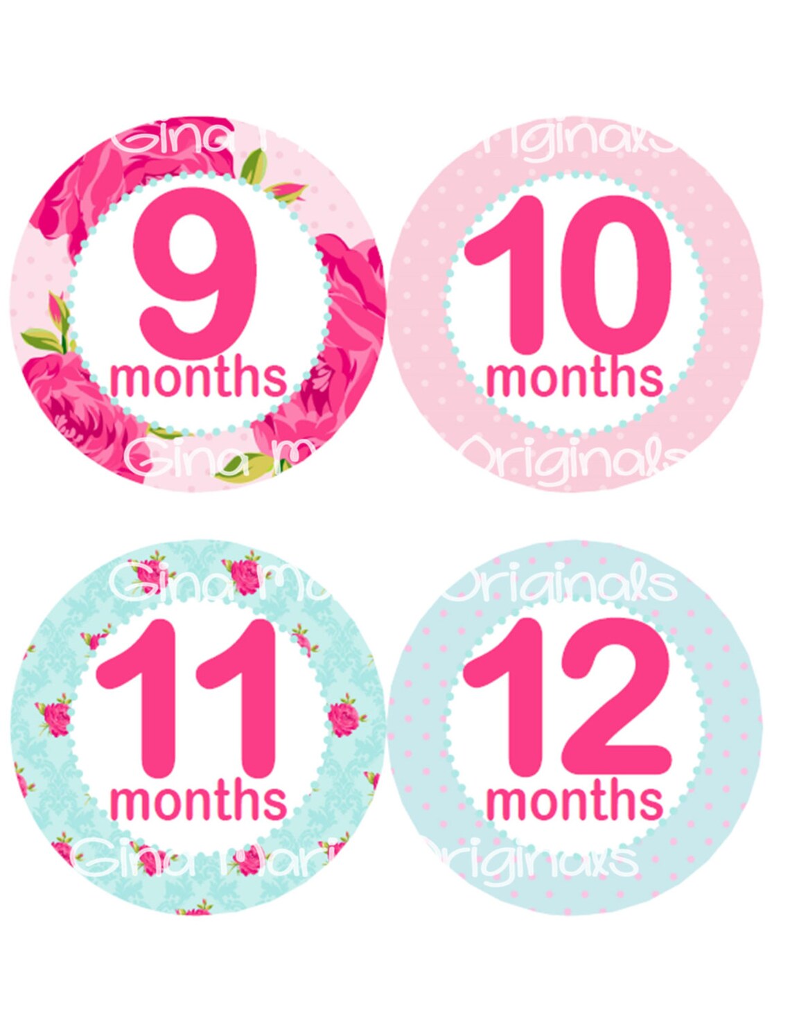 Baby Monthly Milestone Growth Stickers Shabby Floral Roses | Etsy
