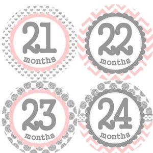 Baby Monthly Second Year 13-24 Months Milestone Growth Stickers Silver ...