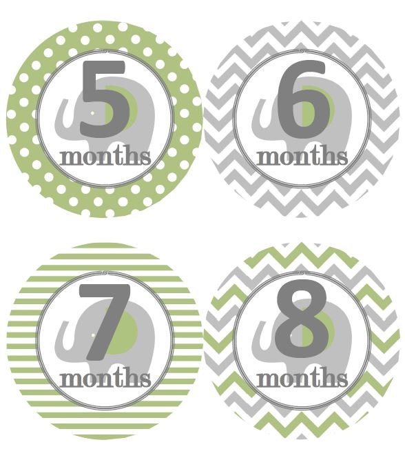 Baby Monthly Milestone Growth Stickers Mossy Sage Green Grey | Etsy