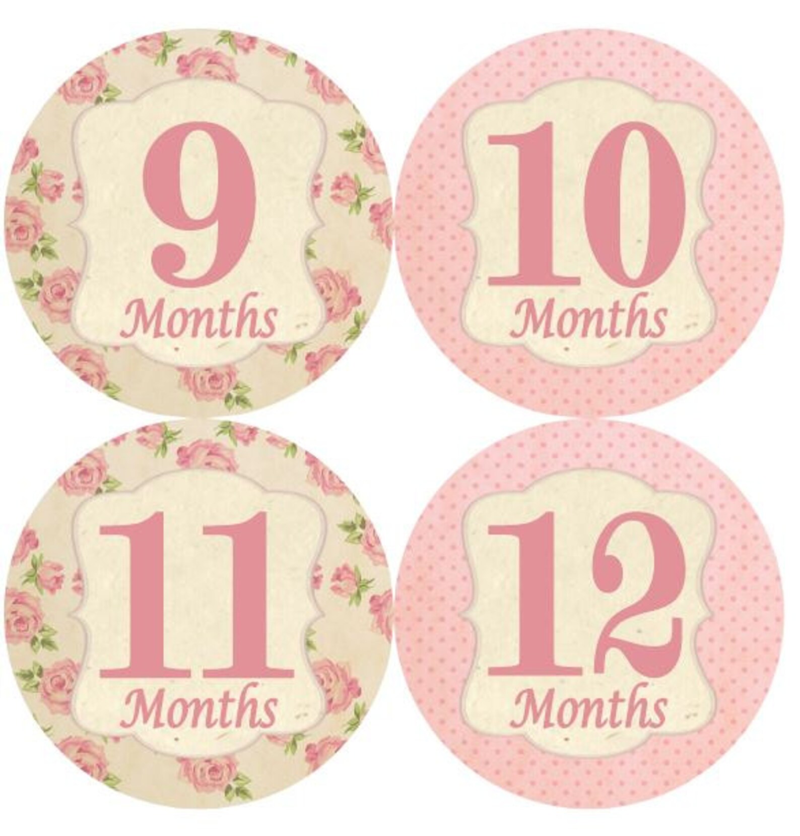 Baby Monthly Milestone Growth Stickers Shabby Elegance Floral - Etsy