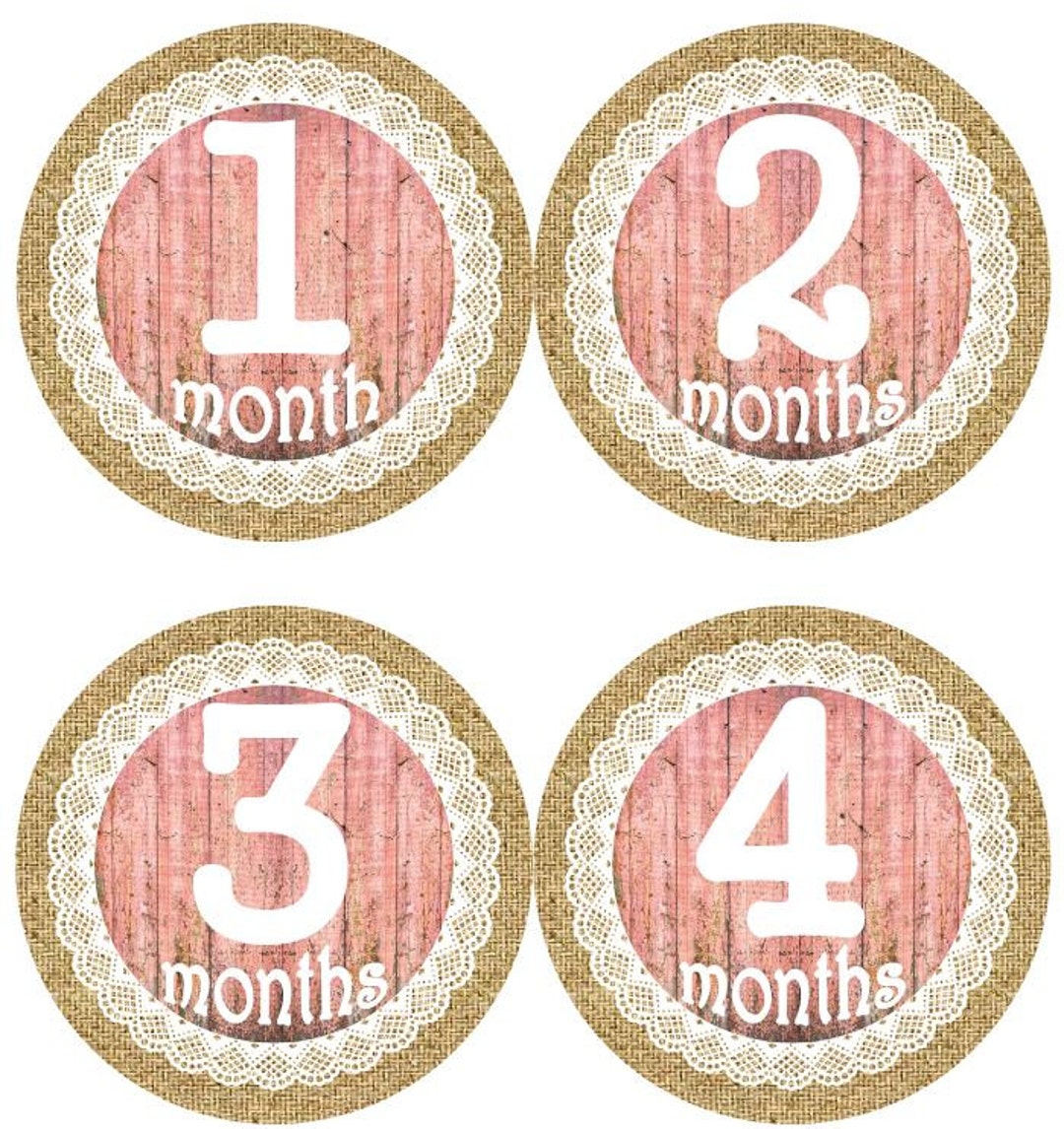 Baby Monthly Milestone Growth Stickers Burlap White Lace Pink Driftwood ...