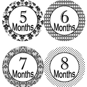 Baby Monthly Milestone Growth Stickers Shabby Elegance Black White ...