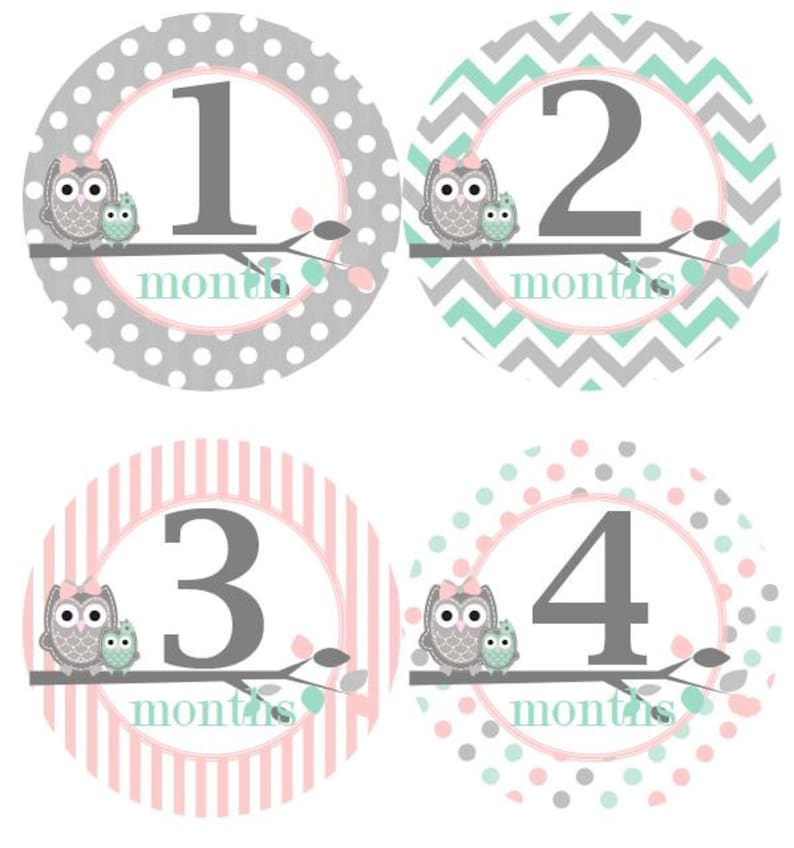 Baby Monthly Milestone Growth Stickers in Mint Grey Pink Owls - Etsy