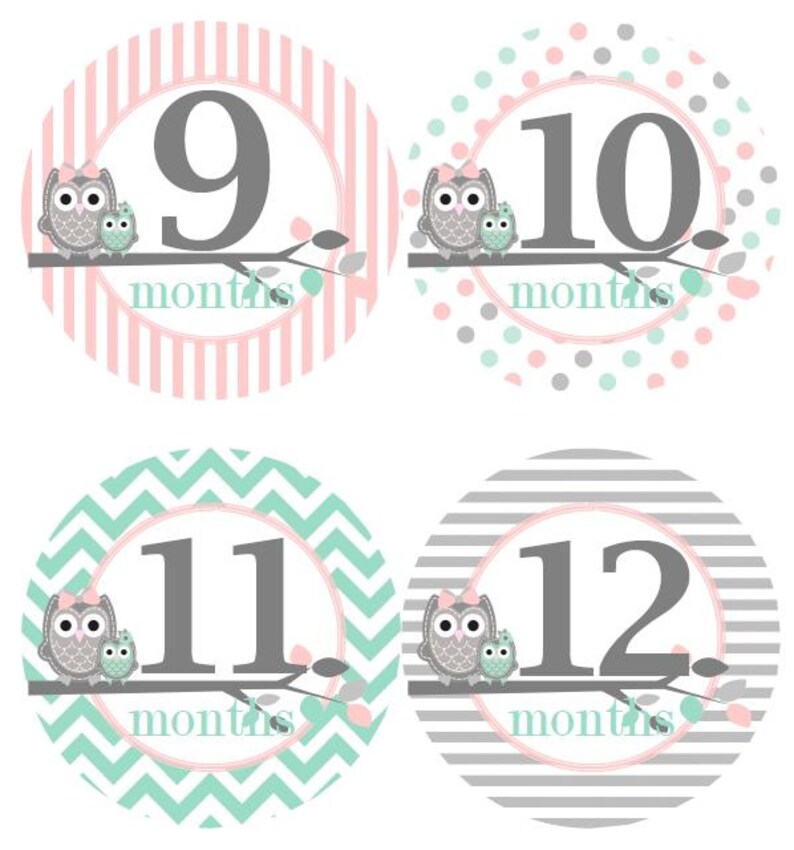 Baby Monthly Milestone Growth Stickers in Mint Grey Pink Owls - Etsy
