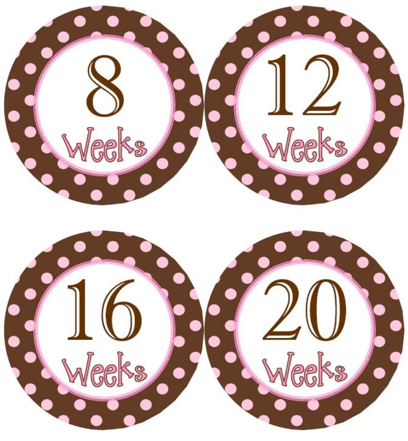 12 Weekly Pregnancy Belly Bump Stickers Pink With Brown Polka - Etsy