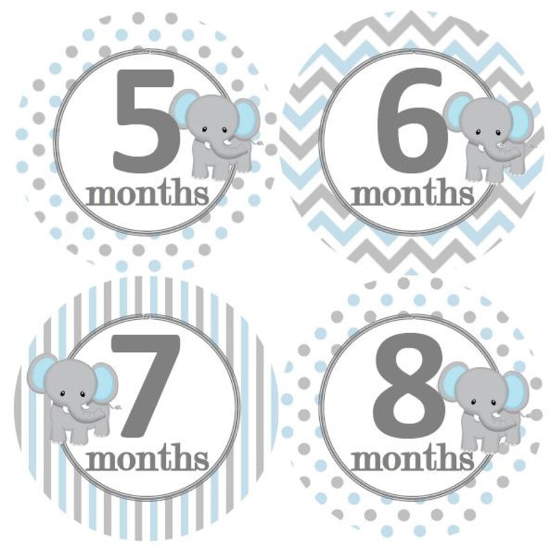 Baby Monthly Milestone Growth Stickers Grey Baby Blue White - Etsy