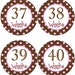 12 Weekly Pregnancy Belly Bump Stickers Pink With Brown Polka - Etsy