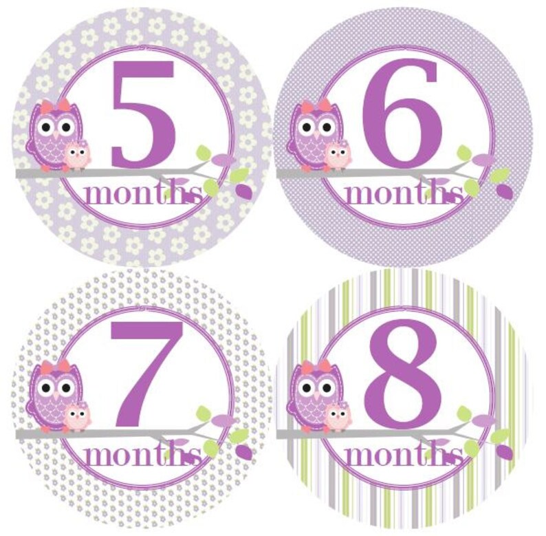 Baby Monthly Milestone Growth Stickers in Lavender Green Grey - Etsy