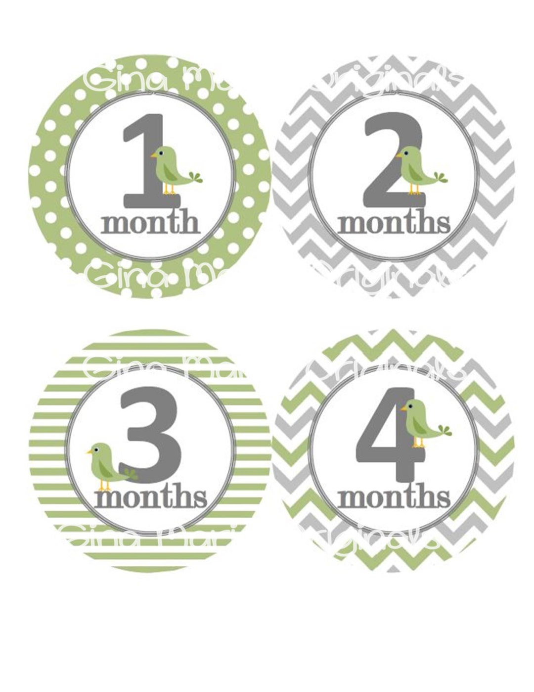 Baby Monthly Milestone Growth Stickers in Mossy Green and Grey Birds ...