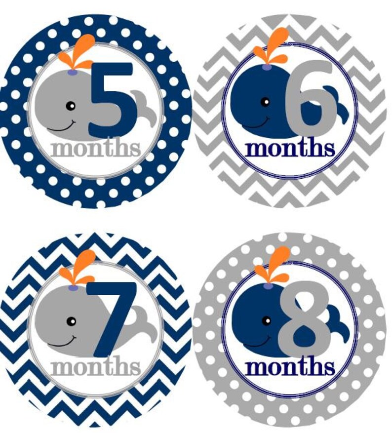 Baby Monthly Milestone Growth Stickers Navy Grey Orange Whale - Etsy