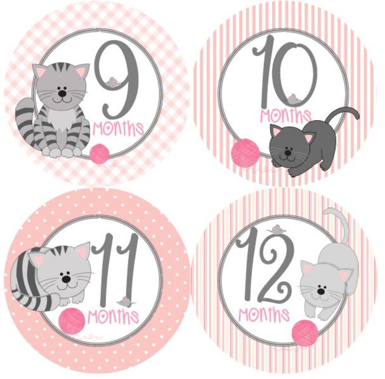 Baby Monthly Milestone Growth Stickers in Pink Grey Girl Cats - Etsy