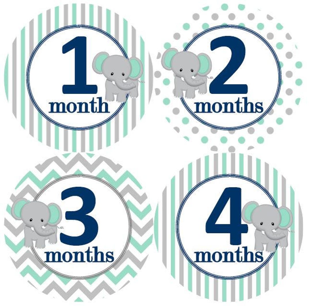 Baby Monthly Milestone Growth Stickers Navy Grey Mint White Elephant ...