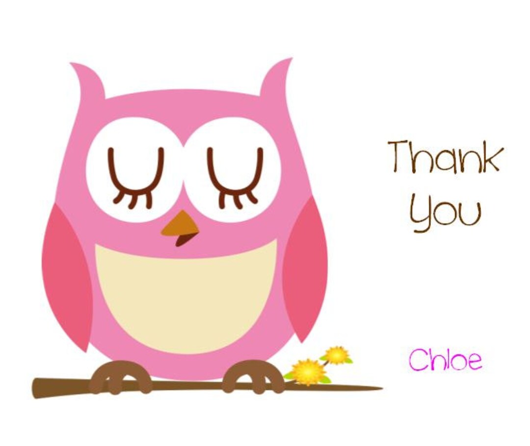 10 Personalized Pink Brown Owl Stationery Notecards Note Thank You ...