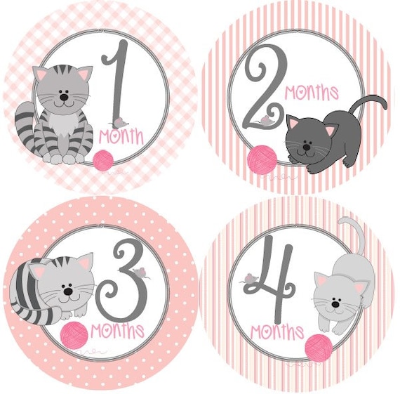 Baby Monthly Milestone Growth Stickers in Pink Grey Girl Cats | Etsy