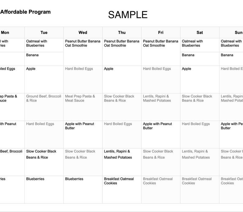 Plant-based High Protein 7-day Meal Plan PDF Easy Recipes, Shopping ...
