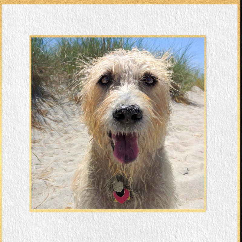 Scruffy Dog - Etsy