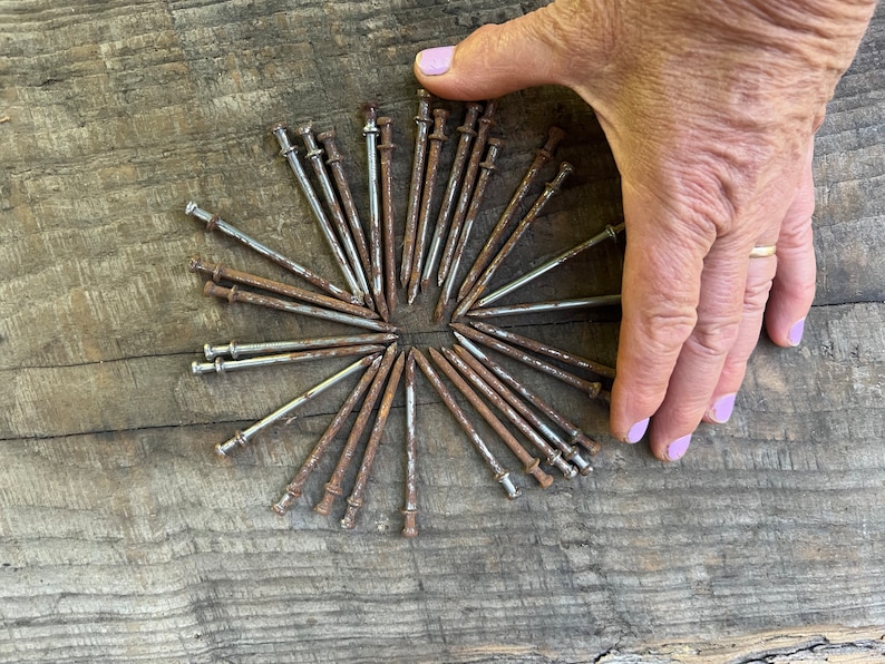 30 Pull Out Double Headed Construction Nails, 2 1/2” Rusty Nails, Nails ...