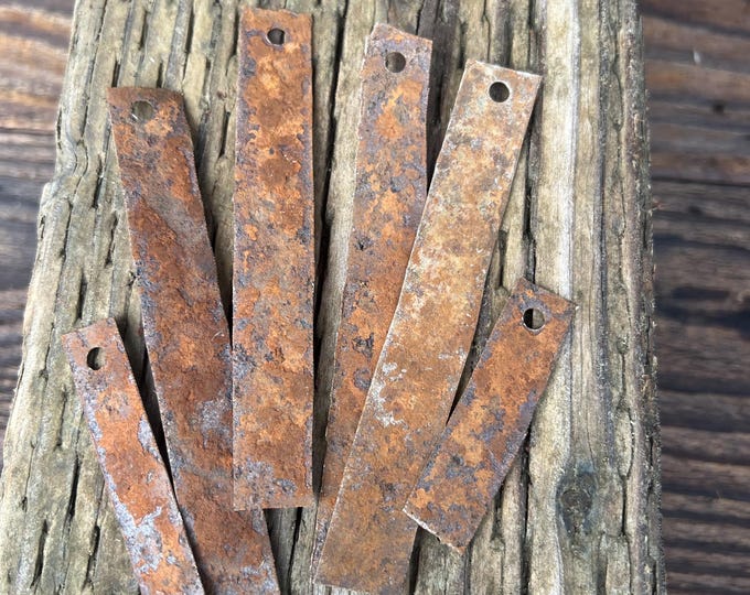 Six Rusty Metal Pieces With Holes, Thin Straight Cut Rusted Metal Tags ...