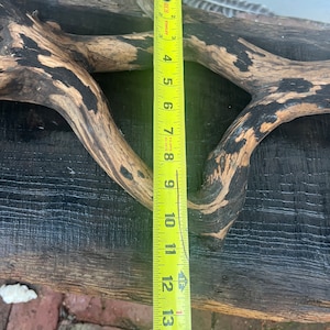 Infinity Madrone Wood, Art Sculpture Wood, Portal Wood, Sacred Wood ...