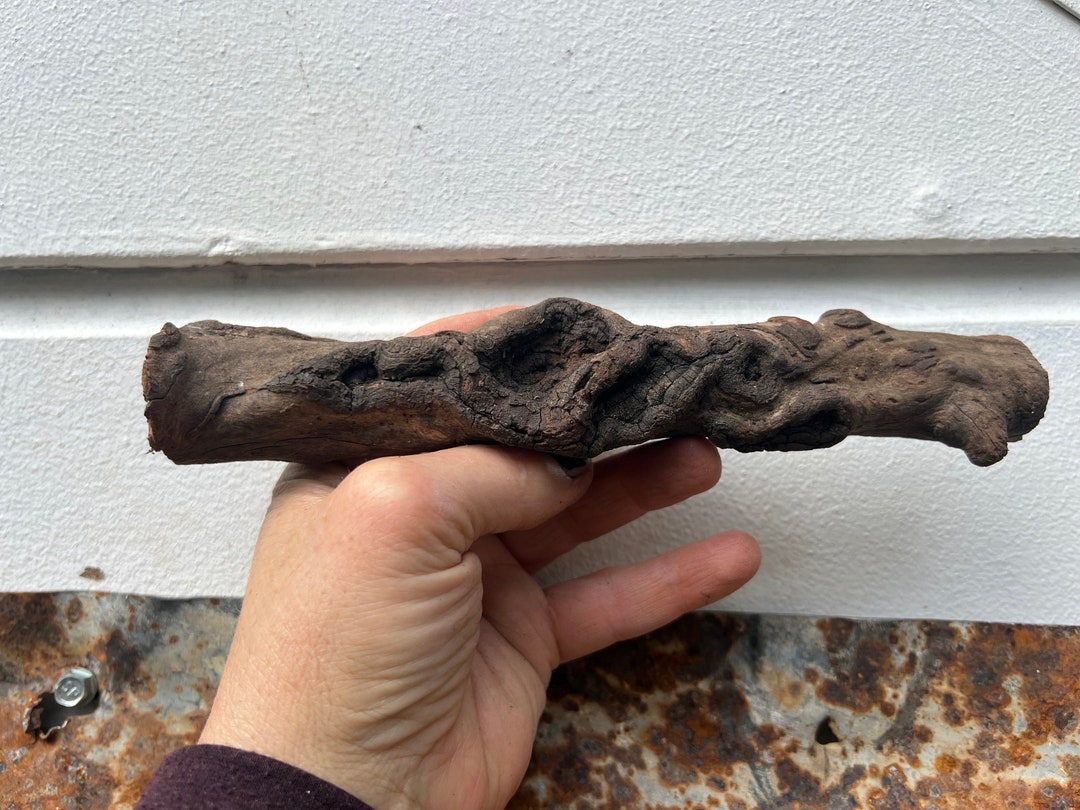 Madrone Wood, 8 Inches Art Wood, Unique Ritual Wood, Madrone Branch ...