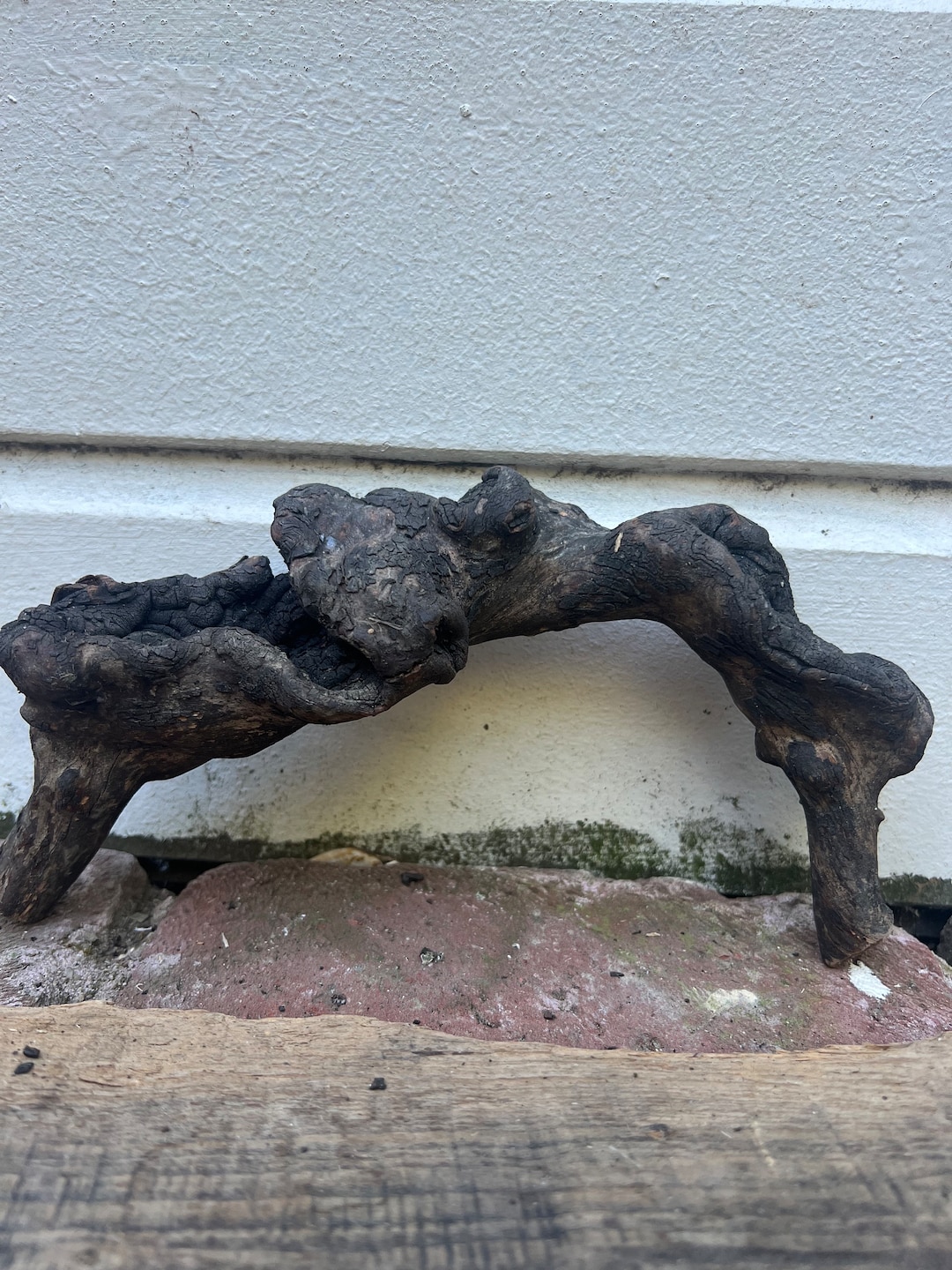 Madrone Wood, Art Wood, Curved Branch, Sacred Wood - Etsy