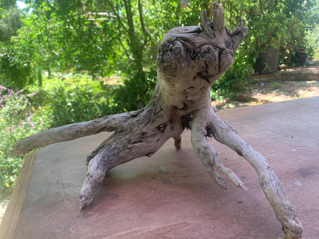 Rooter - Etsy