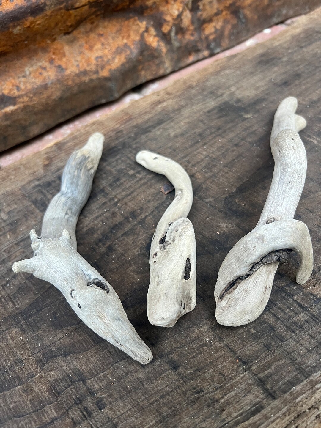 Driftwood Roots, Small Wood Roots, California Driftwood Roots, Root ...