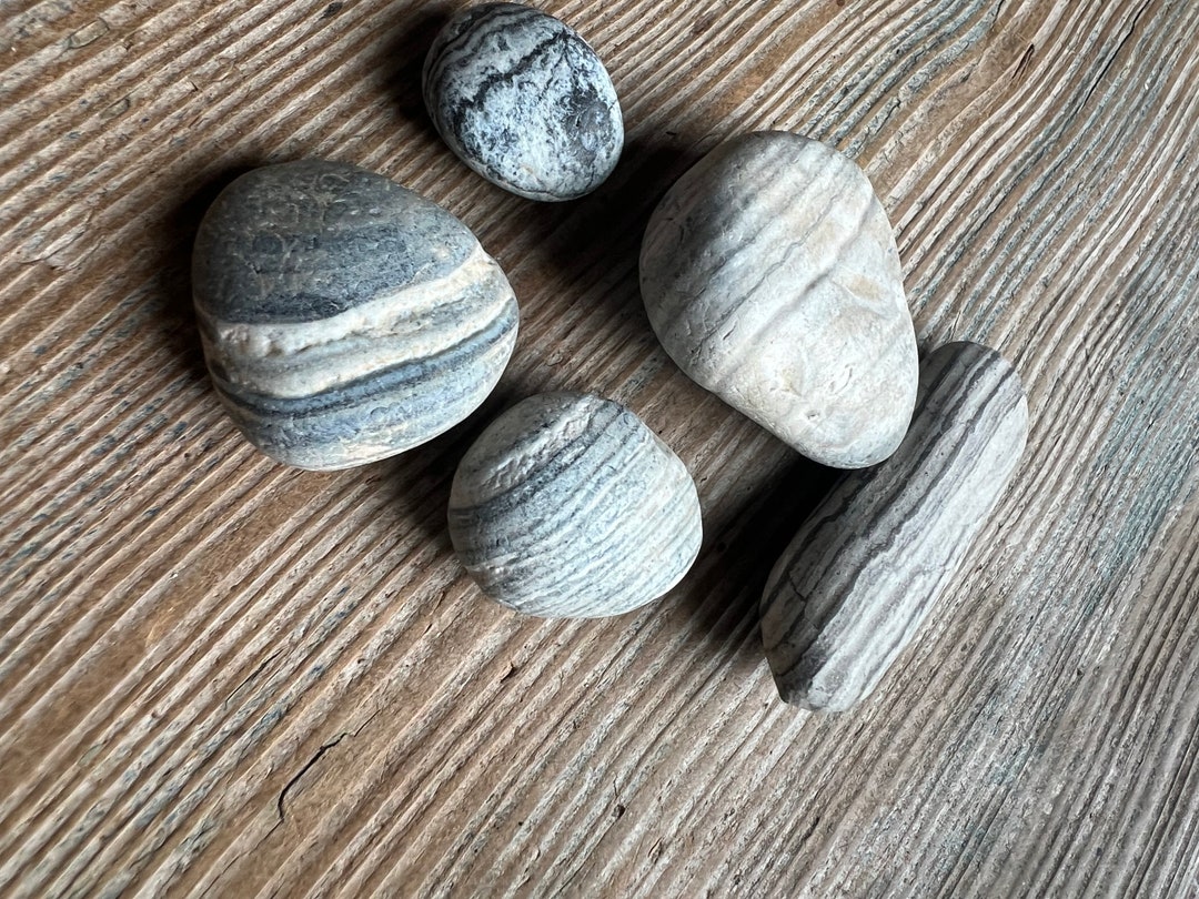 California Beach Stones, Striped Stones, Nature Display Stones, Gray ...