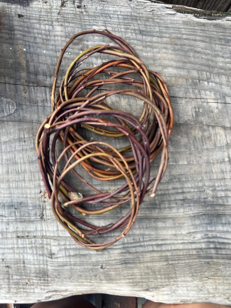 Wild Cherry Plum Hoops, Twisted Branch Hoop, Craft Hoops, Small Natural ...