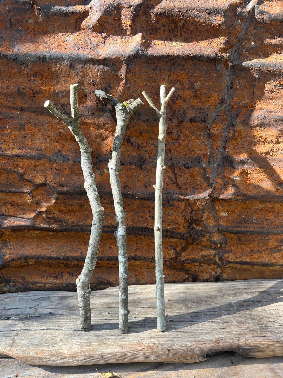 Three Forked Oak Sticks, Sacred Wood Sticks, Forked Oak, Natural Stang ...