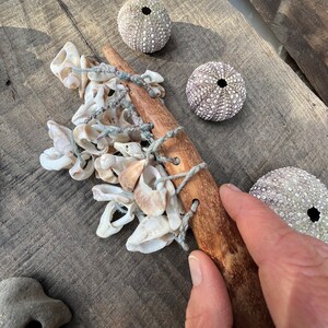 Sounder.ocean Rattle, Driftwood Shell Rattle, Sound Healing, California ...
